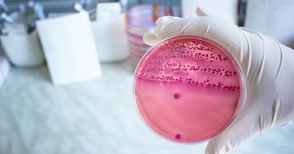 How Does Microban Antimicrobial Protection Work? | Microban